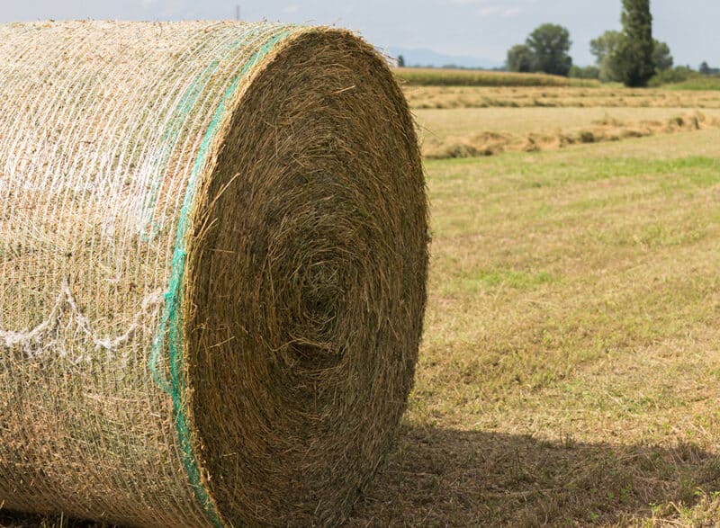 Centerville CO-OP Baling Supplies - Baling Twine & Wrap